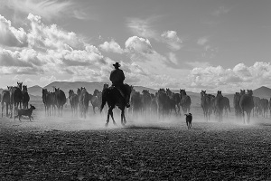 A fistful of bullet point tips - Dialogue